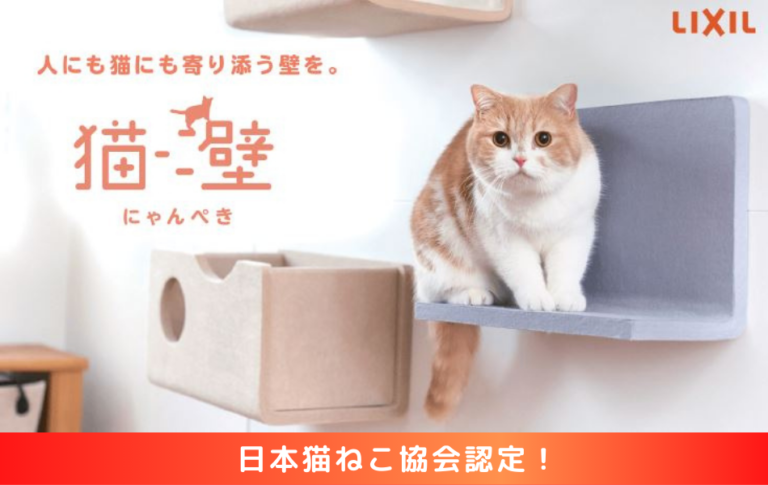 その他に関する記事一覧